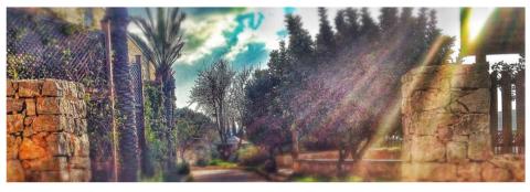 Greening Palestine: Presentation and Eco-Justice Iftar | Hartford ...